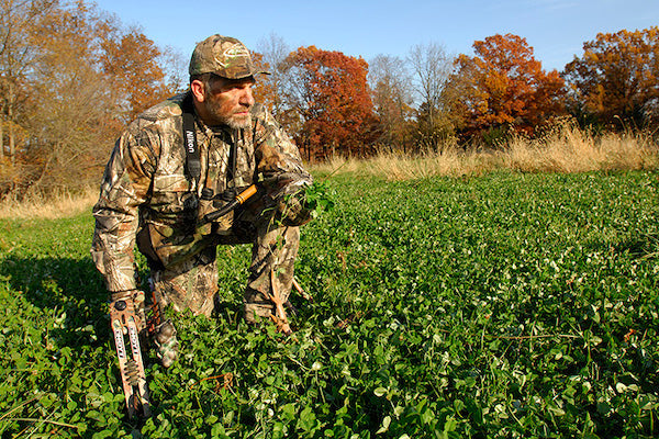 When to Spray Grass Herbicide For Clover Food Plots – Frigid Forage