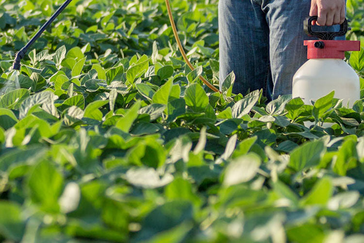 Food Plot Herbicides – Frigid Forage